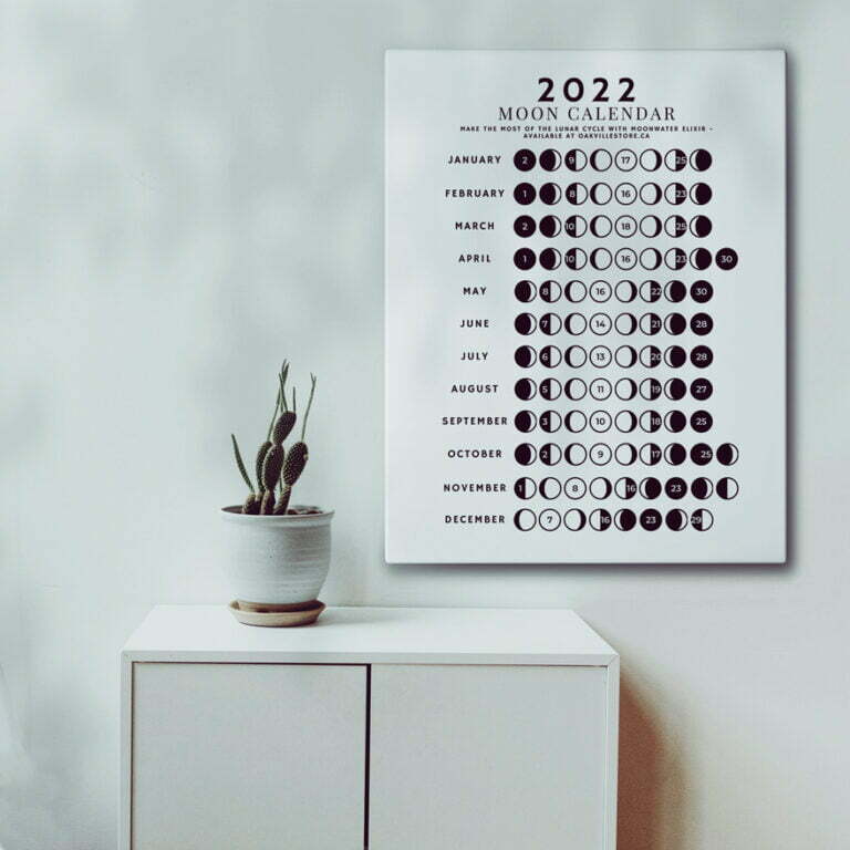 2022 Full Moon Calendar - Free Printable